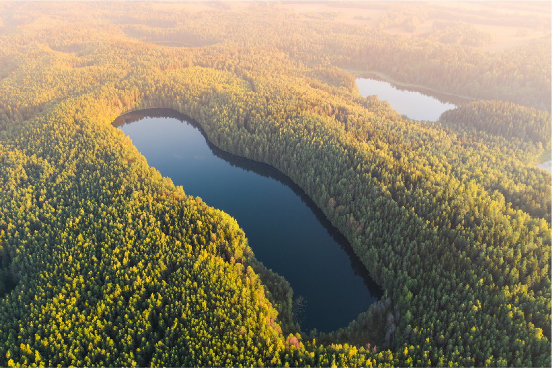 Leading with sustainability - My UPP